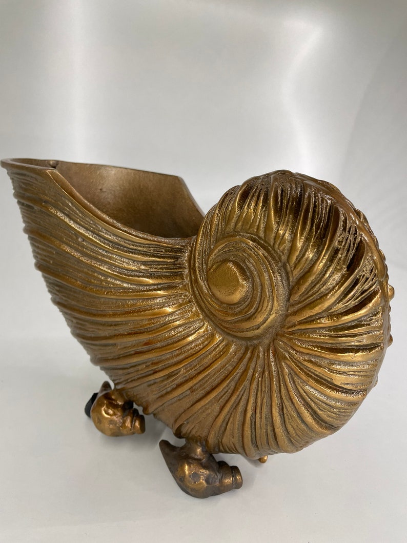 Nautilus Shell Planter Cachepot With Shell Feet Details Sea - Etsy