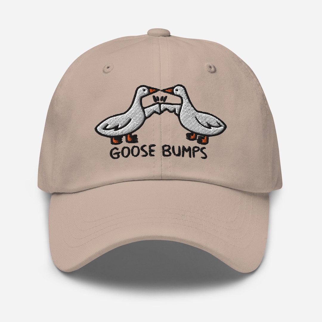 GOOSE BUMPS Cute Embroidered Dad Hat / Silly Goose Cap / God's Silliest ...