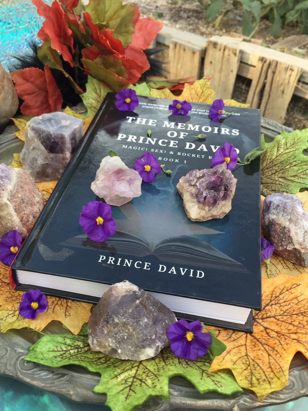 Buy The Memoirs of Prince David Book 1 Online in India - Etsy