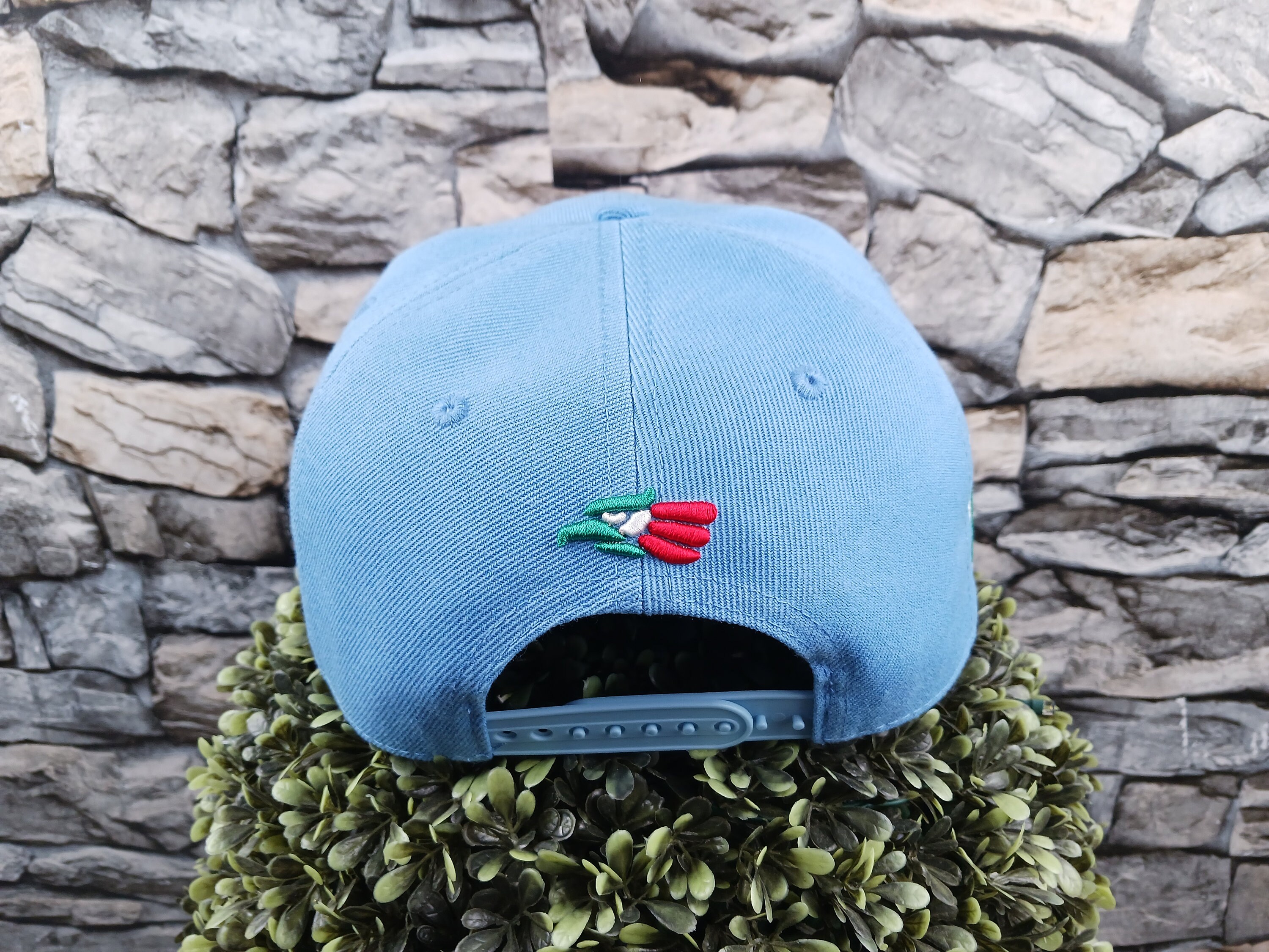 Mexico Hat Mexican Flag Hecho En Mexico Adjustable Snapback Cap - Etsy