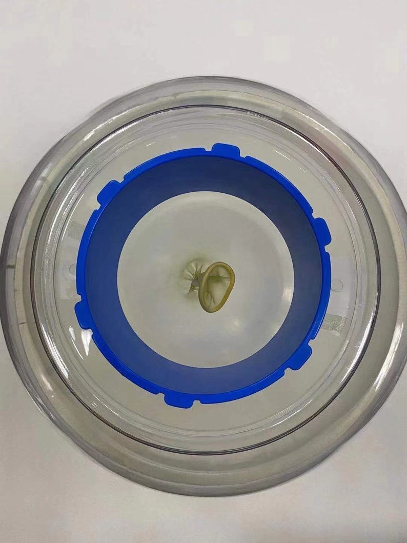 Balloon Stuffing Machine Valentine's Day Balloon Filling Machine ...