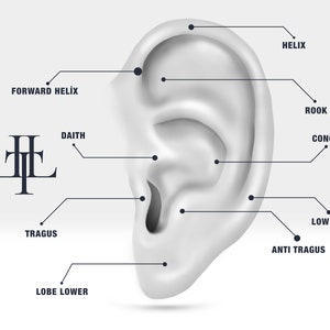 Cartilage Hoop With Sapphire Dove Shaped Piercing in 14K White Yellow ...