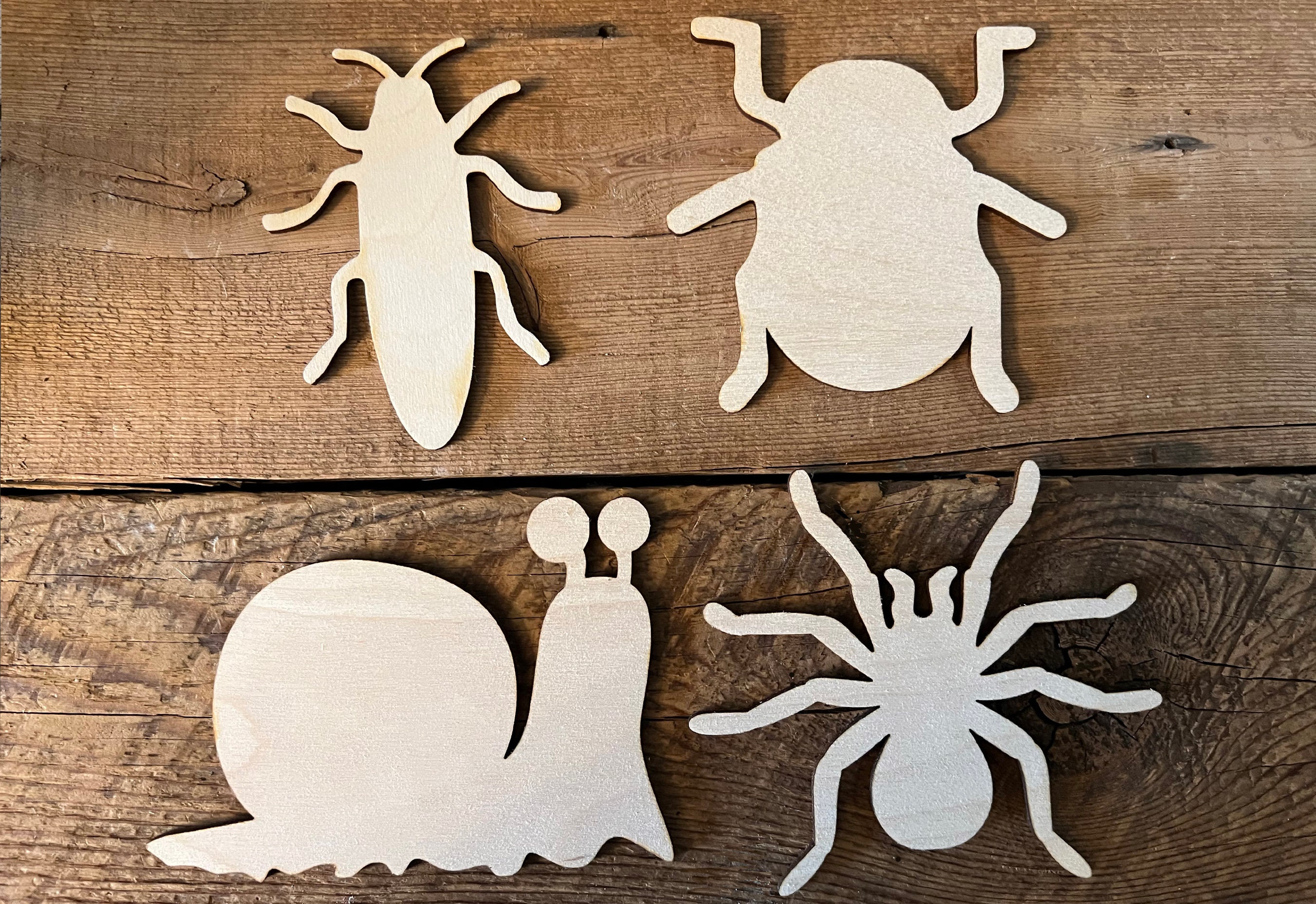 Bug Cutouts, Unfinished Wood Bugs, Bug Wood Pieces, Fall Wooden Shapes ...