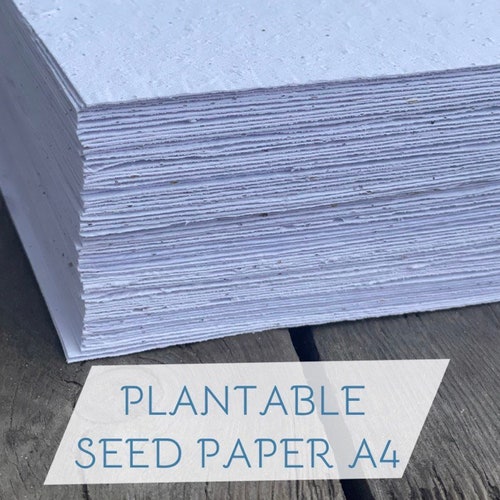 A4 Seed Paper Bulk Plantable Paper A4 Handmade Sheets Blank - Etsy UK
