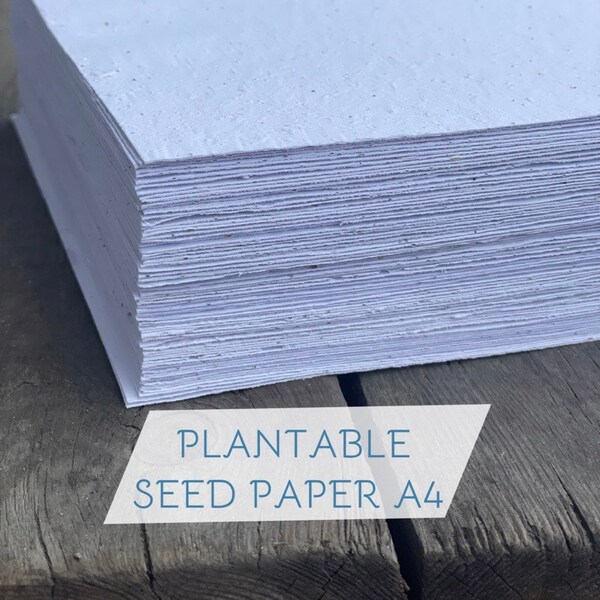 Plantable Seed Paper - Etsy