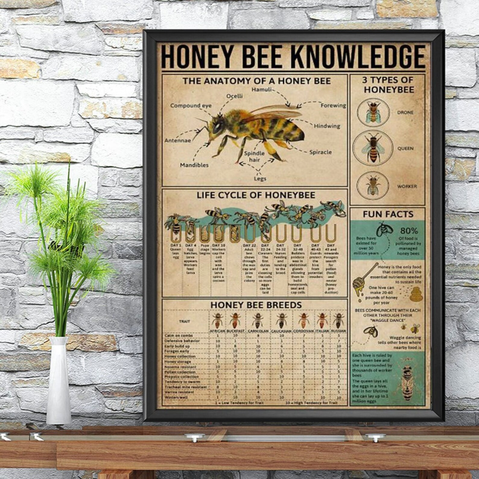 Honey Bee Knowledge Poster Bee Knowledge Poster Honey Bee - Etsy