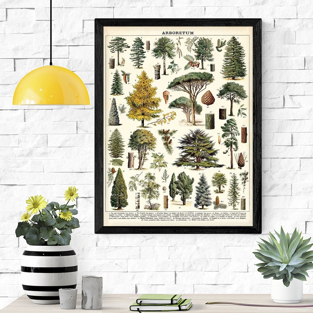 Arboretum Poster, Tree Art Print, Tree Wall Art, Botanical Tree Art ...