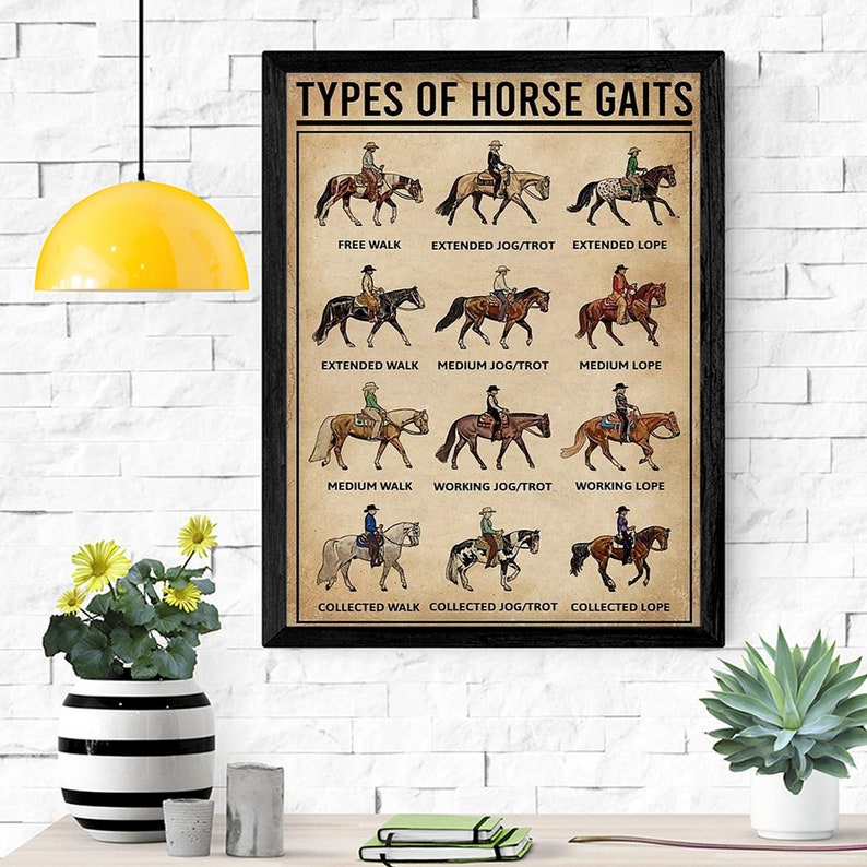 Types Of Horse Gaits Poster Horse Knowledge Poster Horse Etsy types-of-horse-gaits-poster-horse-knowledge-poster-horse-etsy