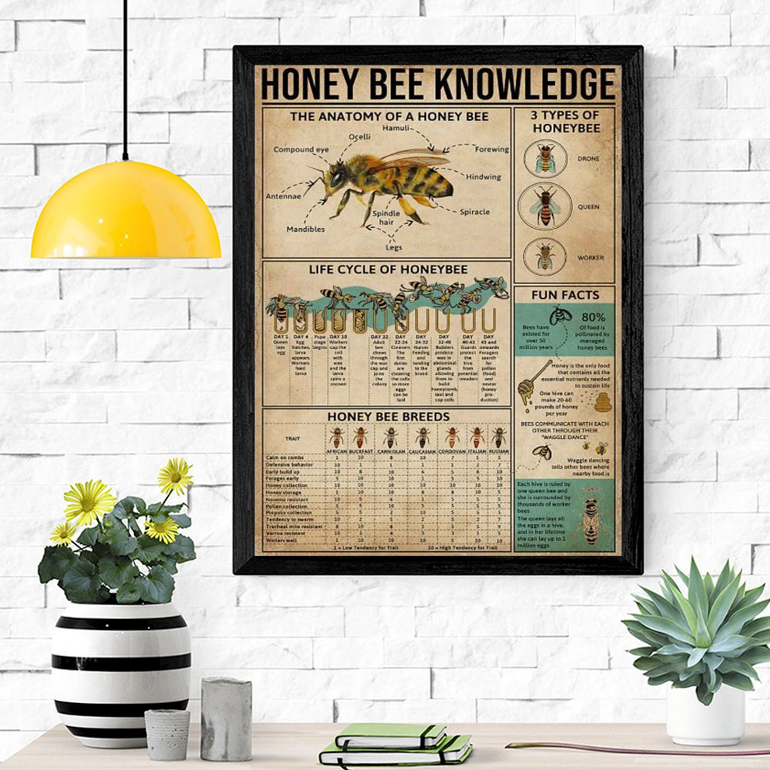 Honey Bee Knowledge Poster Bee Knowledge Poster Honey Bee - Etsy