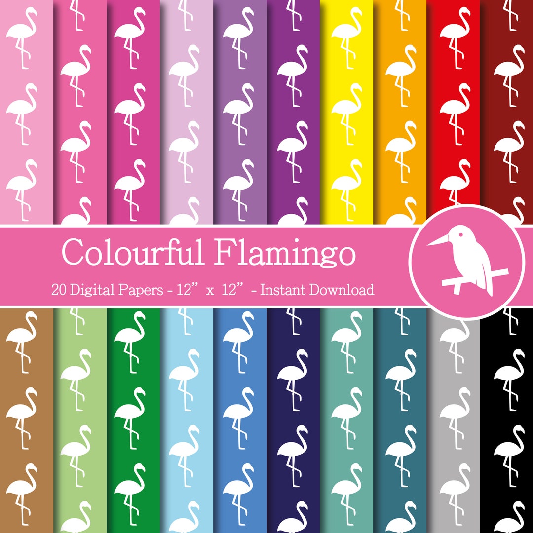 Colorful Flamingo Pattern Digital Paper Set (instant Download) - Etsy
