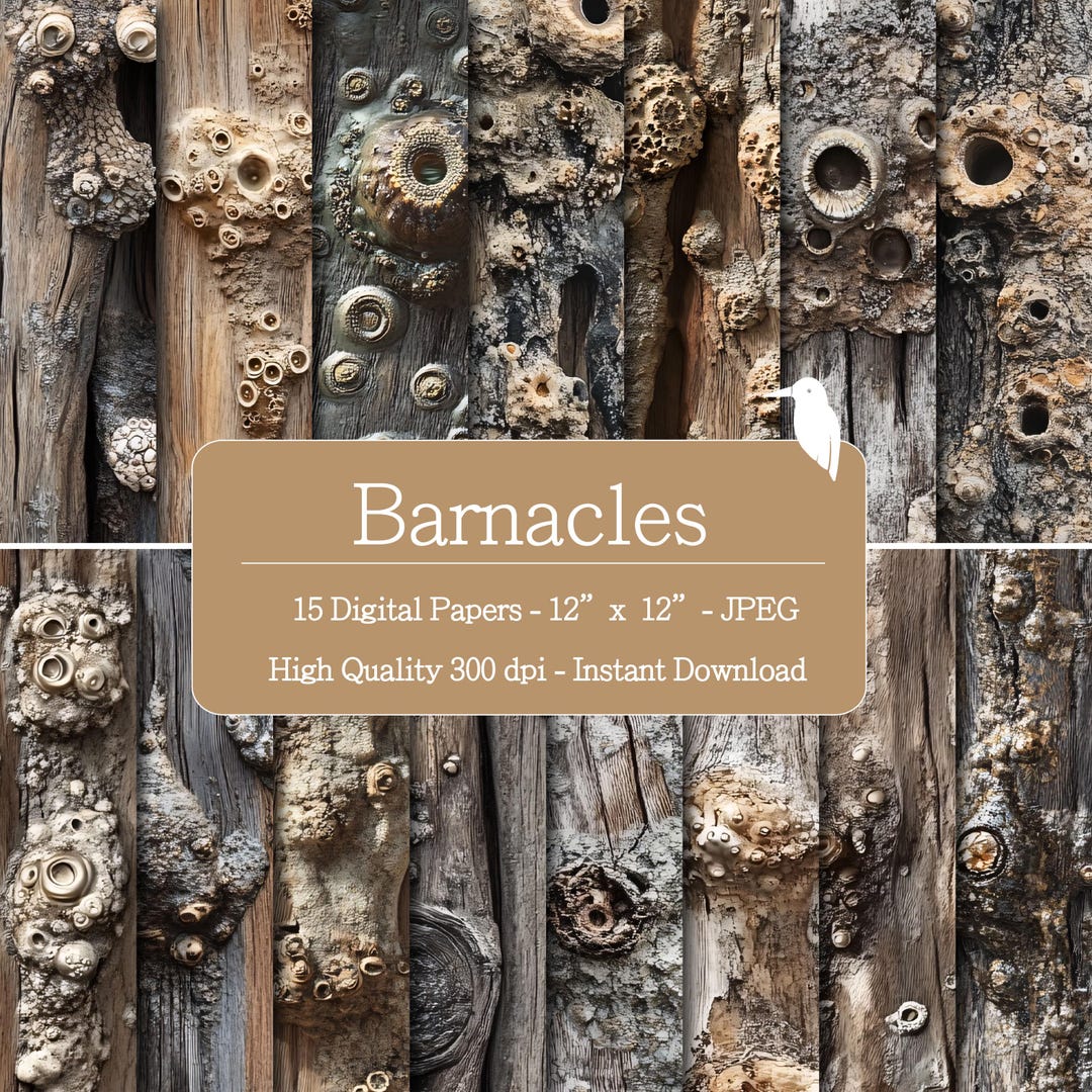 Barnacles Texture Digital Papers Set for Instant Download, Digital ...