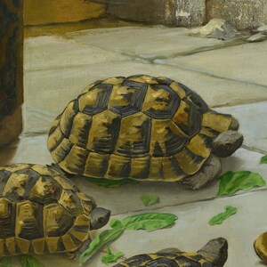 Osman Hamdi Bey - the Tortoise Trainer - 3D Textured Print - Etsy