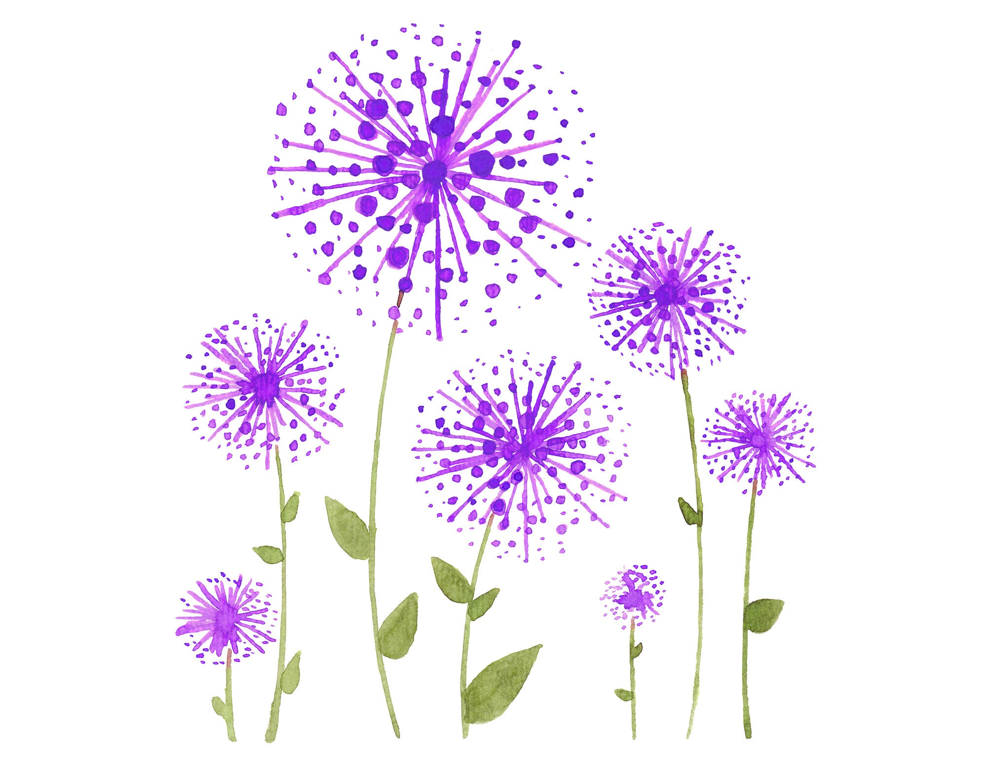 Purple Dandelion Clip Art