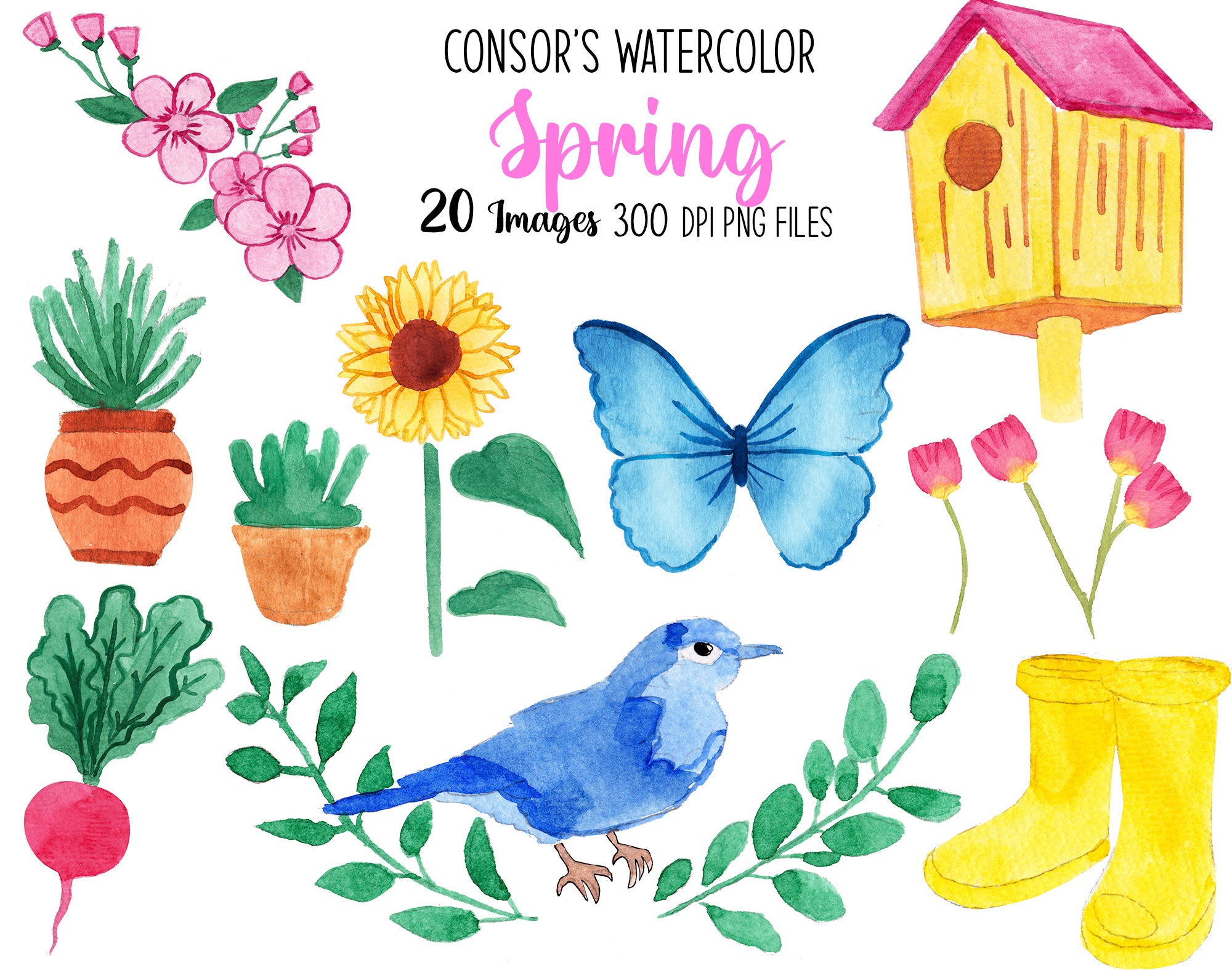 Watercolor Clipart Spring Clipart Garden Flower | Etsy