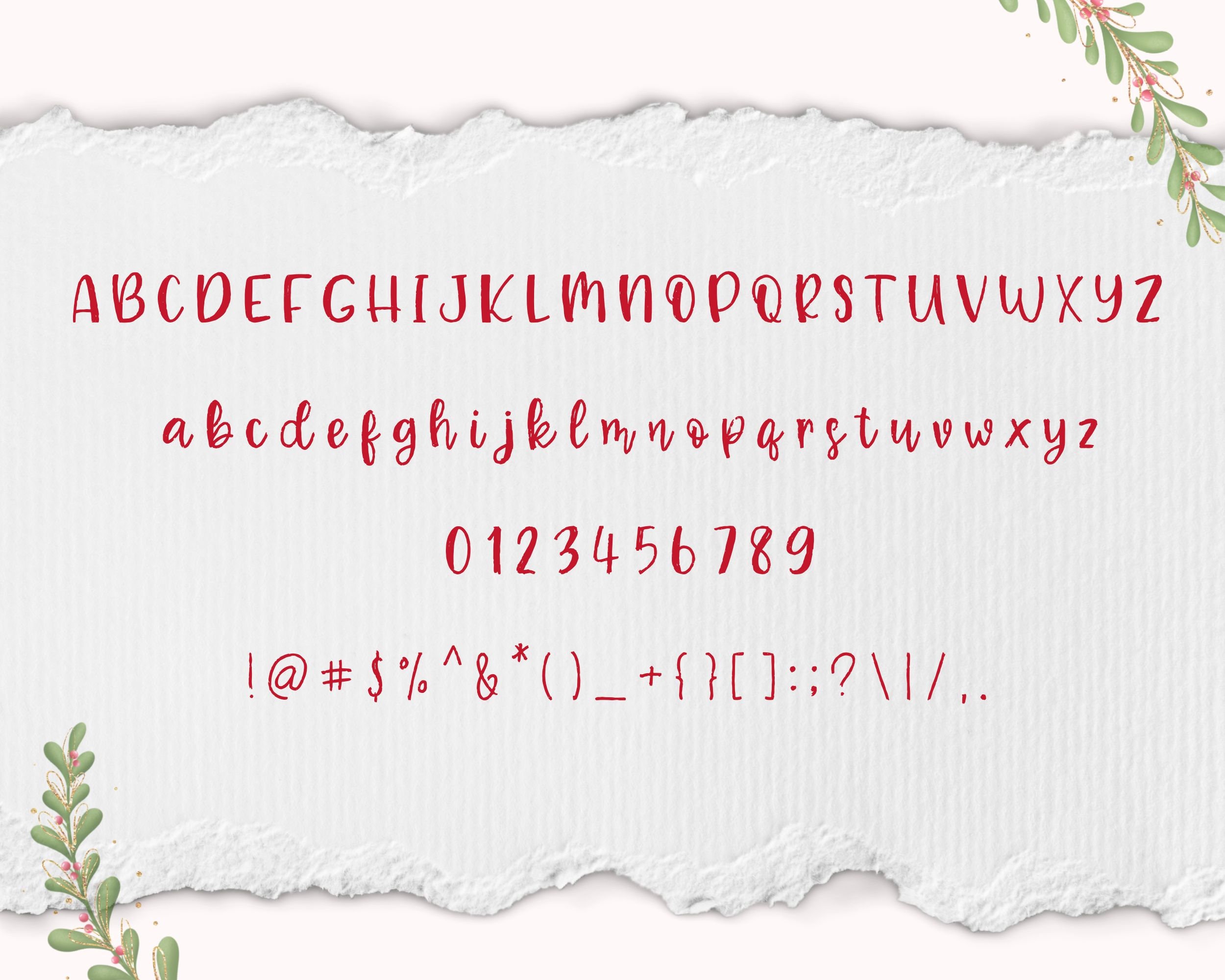 Handwriting Script Fonts, Christmas Fonts, Neat Handwritten Font, Brush ...