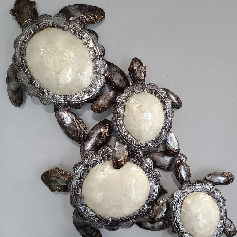 Sea Shell Wall Art Ideas - Etsy