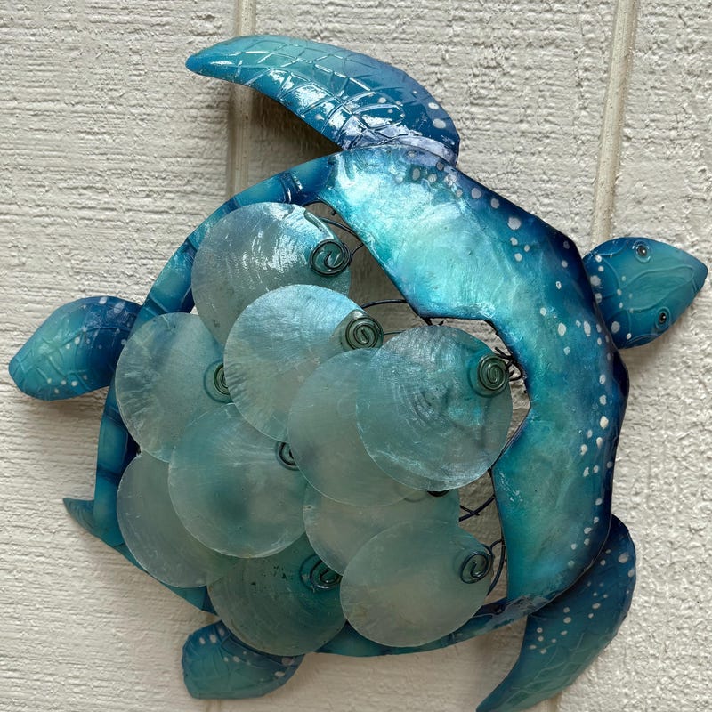 Turtle Art Made of Shells - Etsy