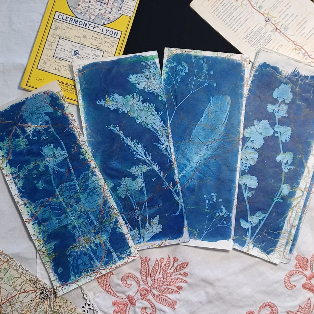 Retro French Road Map Cyanotypes One-of-a-kind Original Botanical ...