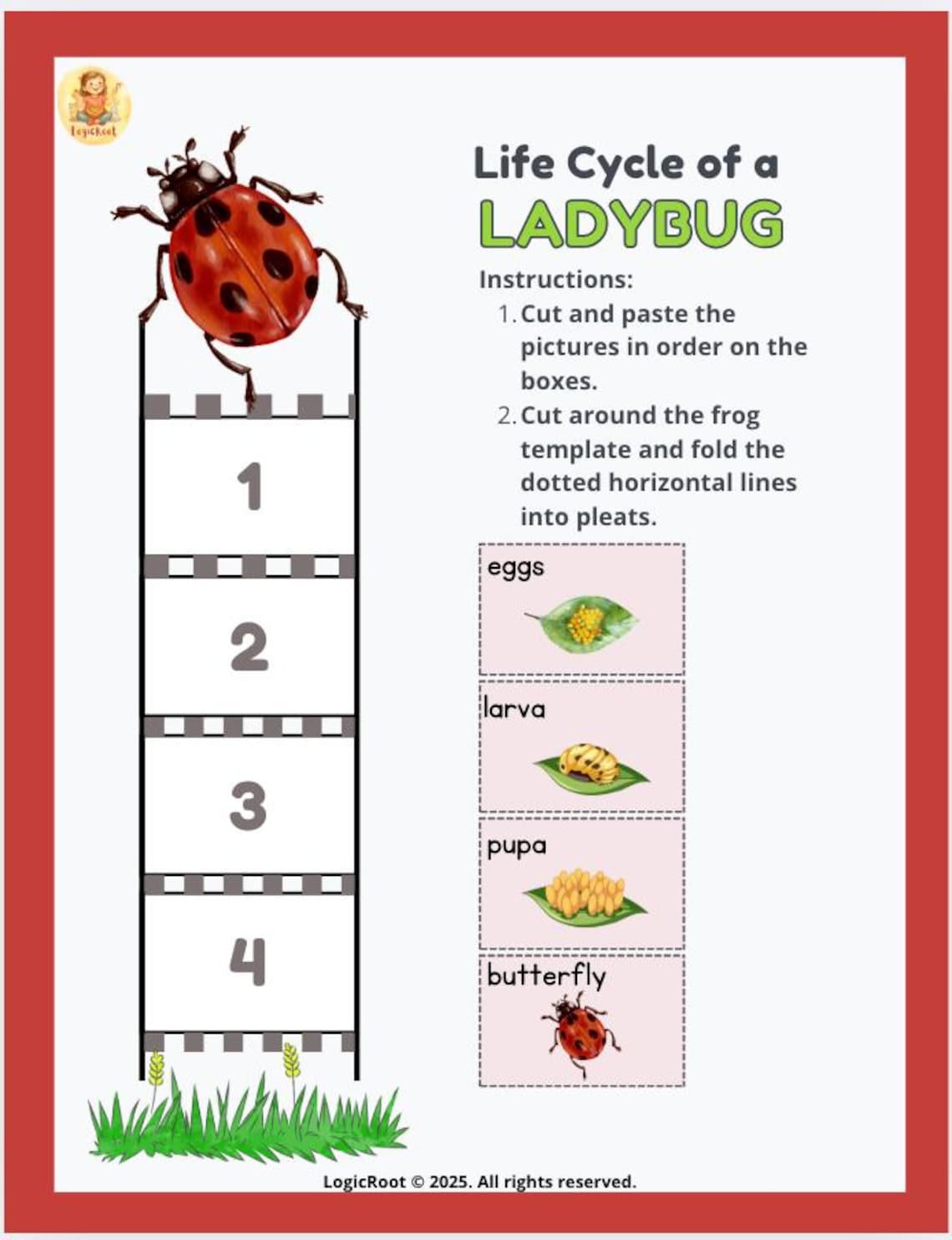 Ladybug Life Cycle Printable | Cut & Paste Science Activity for ...