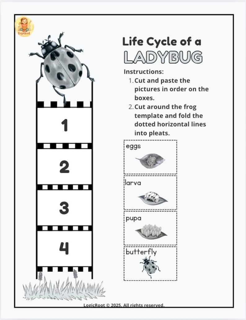 Ladybug Life Cycle Printable | Cut & Paste Science Activity for ...
