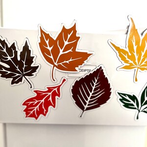 Fall Leaves Set of 6 | Maple Leaf | Autumn Leaves Magnets | Fall Leaf ...
