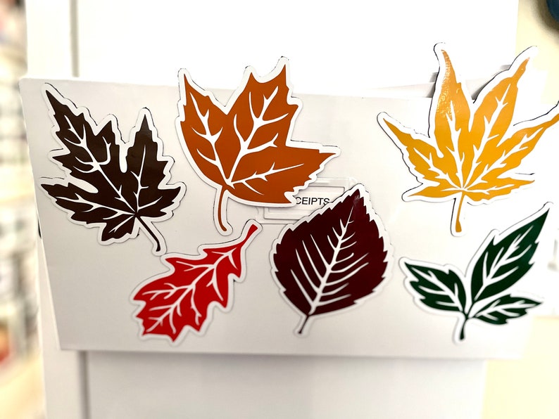 Fall Leaves Set of 6 Maple Leaf Autumn Leaves Magnets - Etsy