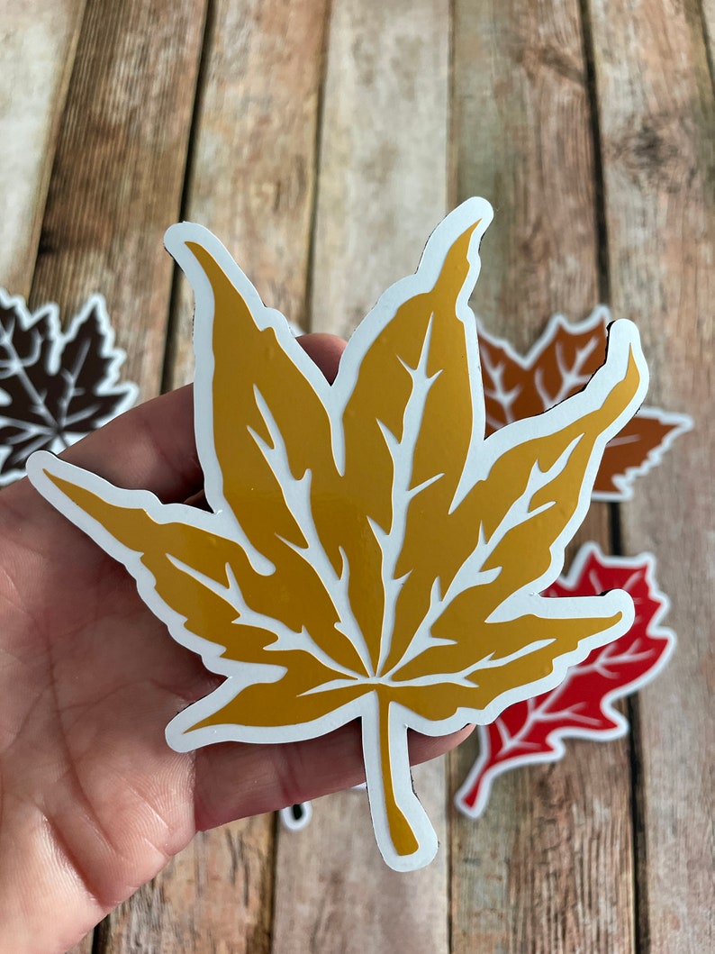 Fall Leaves Set of 6 Maple Leaf Autumn Leaves Magnets - Etsy
