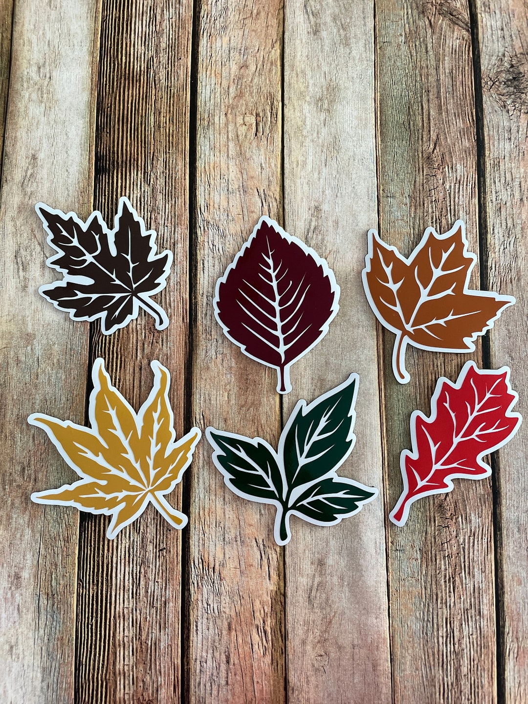 Fall Leaves Set of 6 | Maple Leaf | Autumn Leaves Magnets | Fall Leaf ...