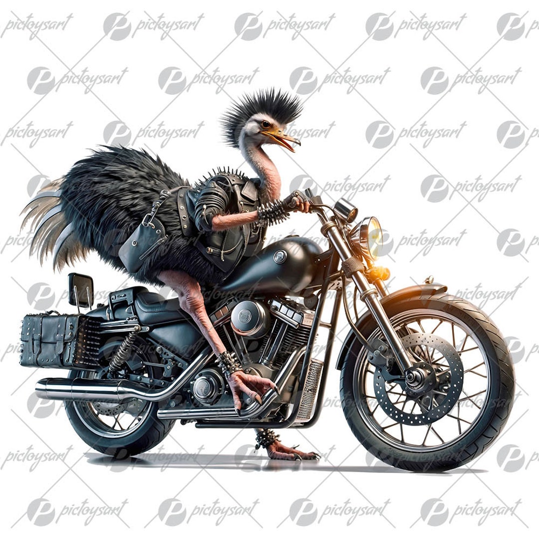 Ostrich Punk on Motorbike, Cool Bird Motorcyclist, Road Beast and ...
