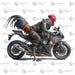 Rooster on Motorbike, Cool Bird Motorcyclist, Road Wings and Motorcycle ...