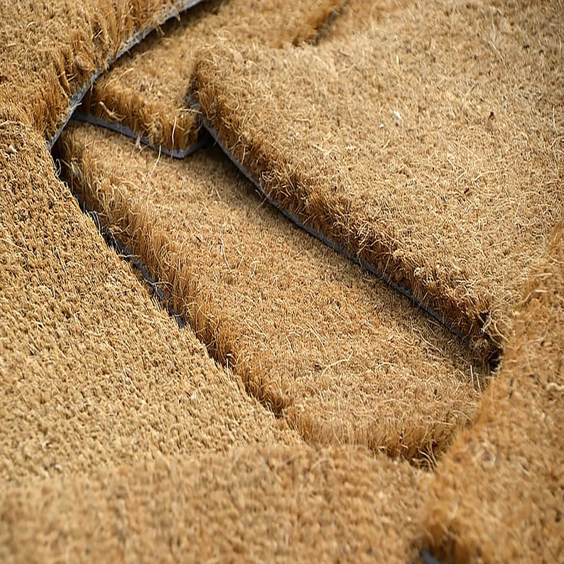 Monty Python and The Holy Grail Death Bridge Questions Door | Etsy