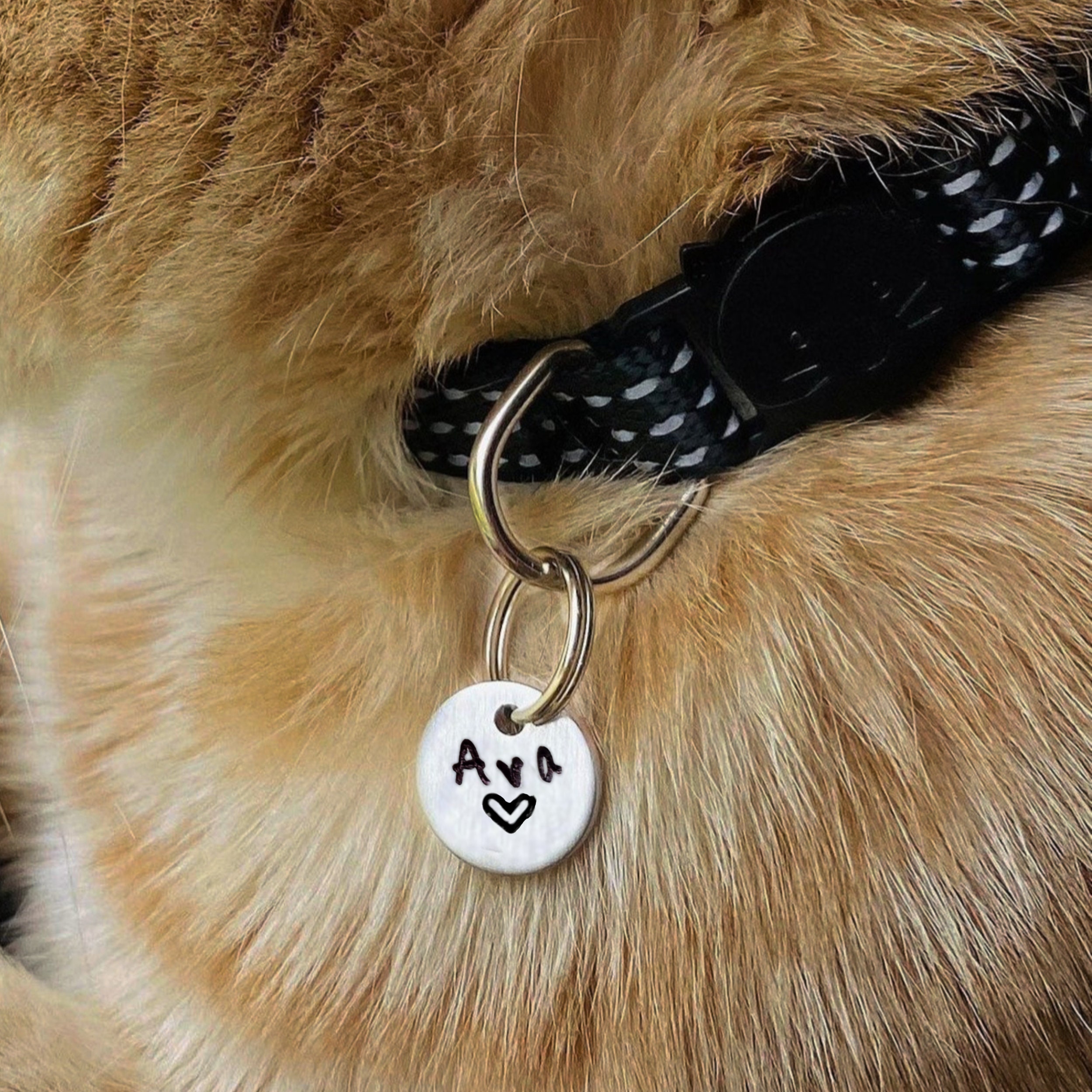 44 Hilarious Collar Tags For Pets Who Tend To Get Lost, 60% OFF