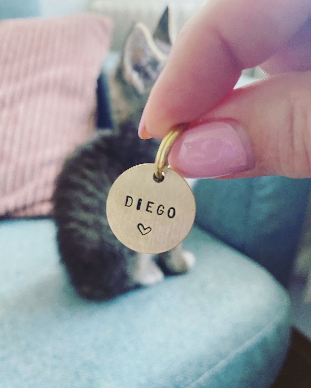 Cat ID Tag Small, Cat Name Tag, Kitten Cat Play Collar, Engraved Dog ID ...