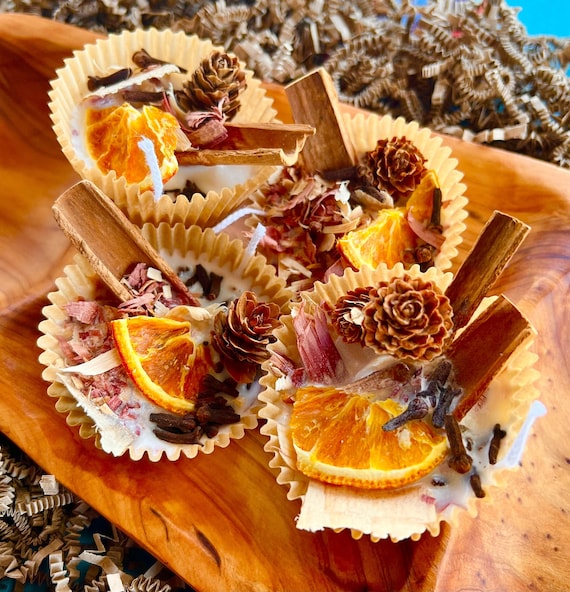 Fire Starters Natural Soy Wax Fire Pit Campfire Camping Gifts Log Fire Starters Orange Clove Wax Eco Friendly Outdoor Gear Etsy