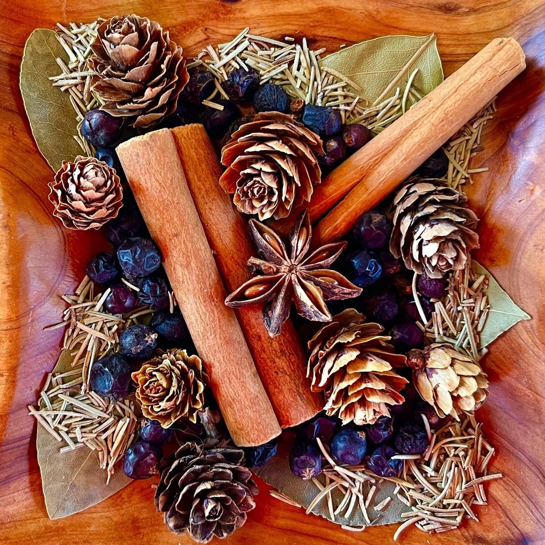 WALK IN the WOODS Stovetop Potpourri - Pine Scented Simmer Pot - Woodsy ...