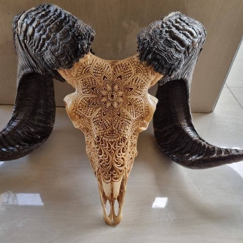 Ram Skull Carving Vicking With Long Horn - Etsy