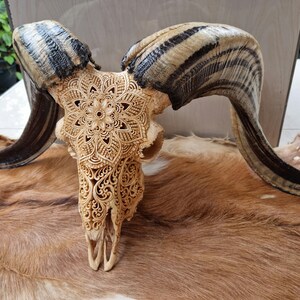 Carve Ram Skull Carving Mandala - Etsy