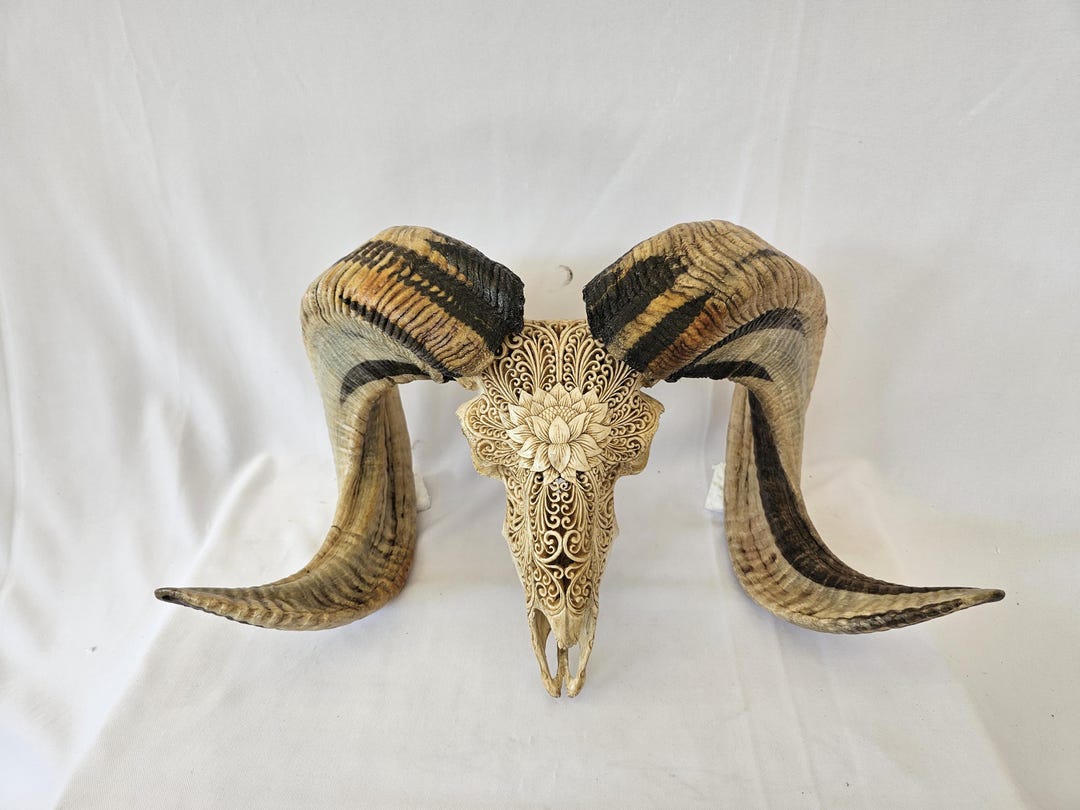 Carved Ram Skull Carving Lotus - Etsy