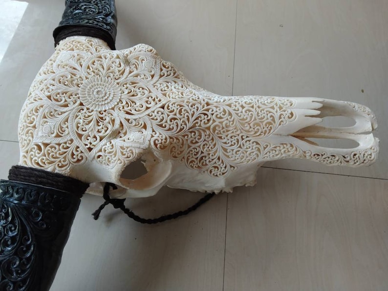 Carve Buffalo Skull Mandala Carved Horn White - Etsy