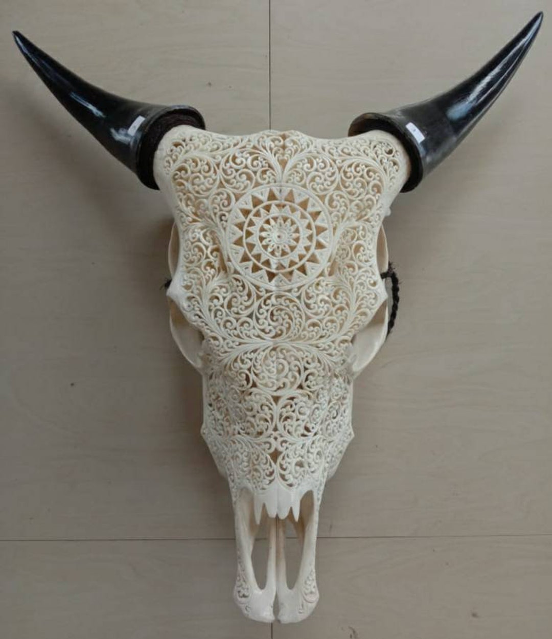 Carved Cow Skull Carving Round in Patern - Etsy