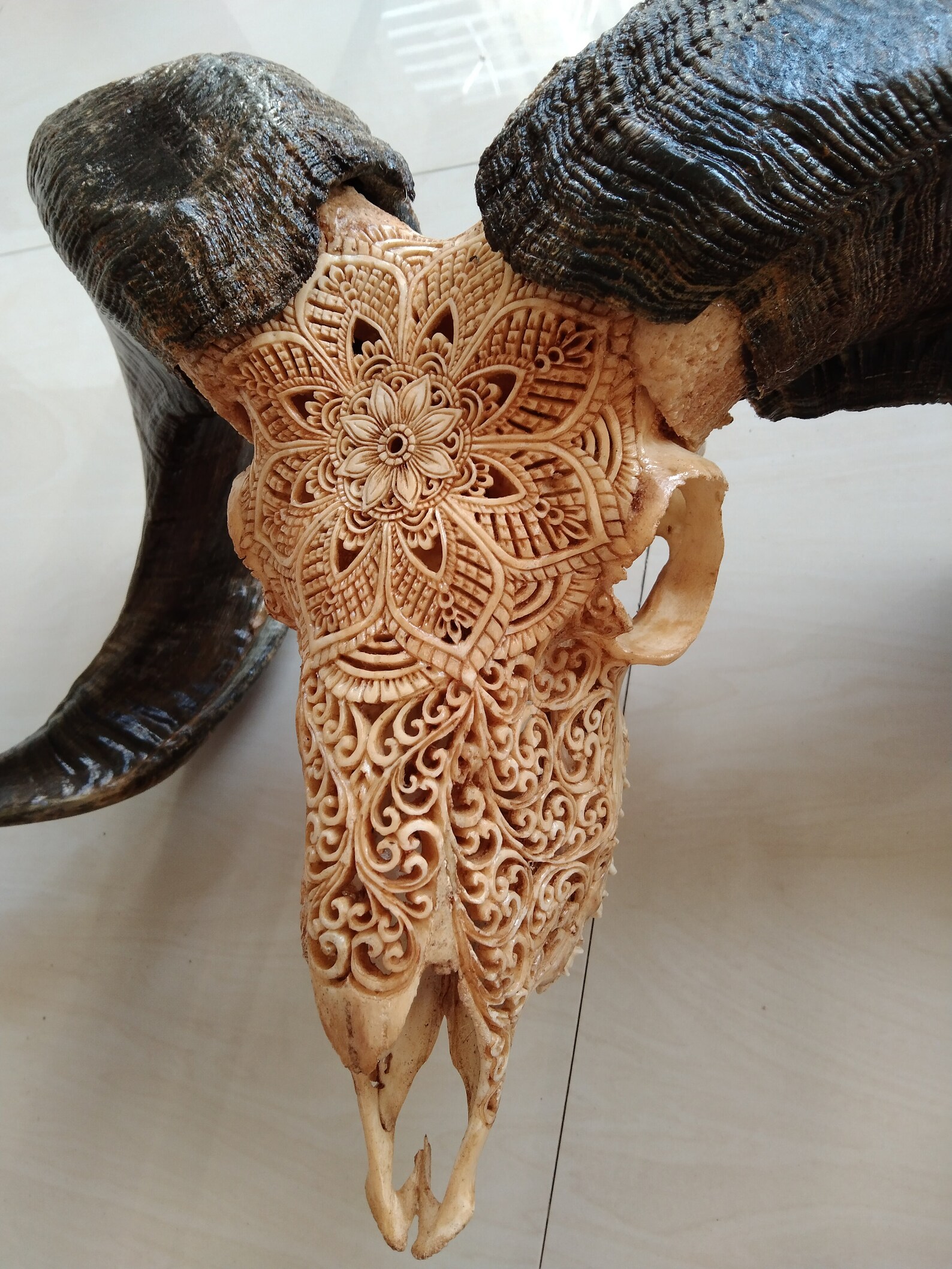 Carve Ram Skull Carving Mandala - Etsy