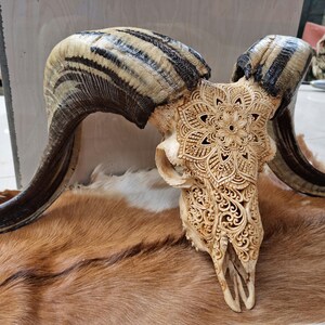 Carve Ram Skull Carving Mandala - Etsy