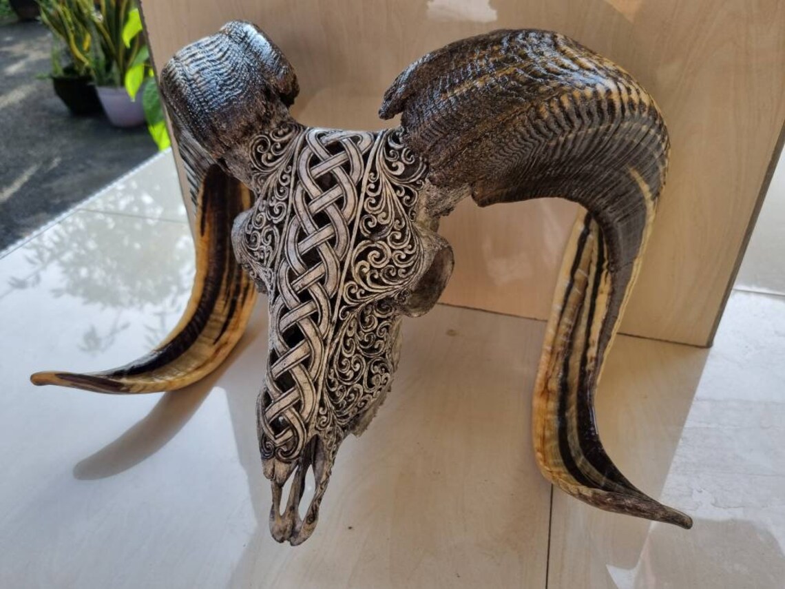 Carve Ram Skull Carving Celtic With Patern | Etsy