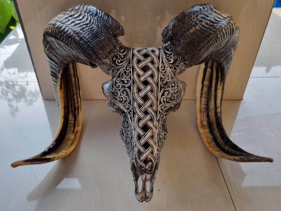 Carve Ram Skull Carving Celtic With Patern | Etsy