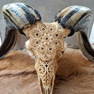 Carve Ram Skull Carving Mandala - Etsy