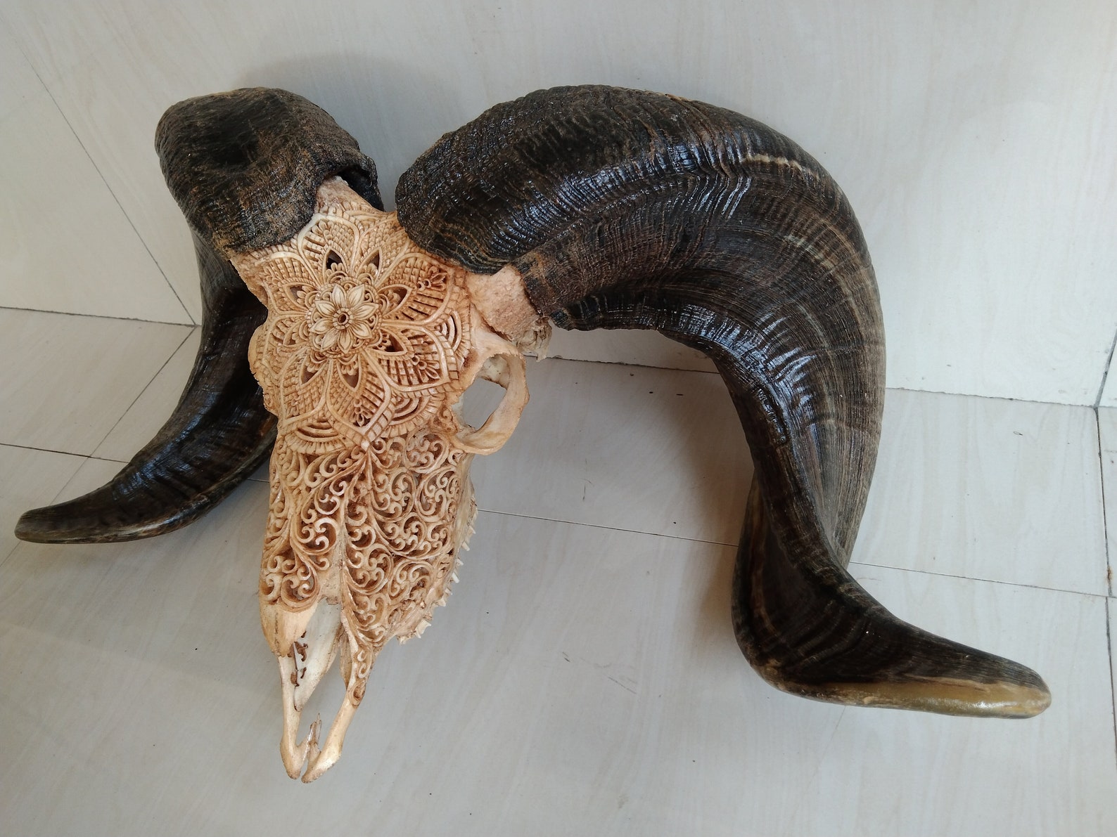 Carve Ram Skull Carving Mandala - Etsy