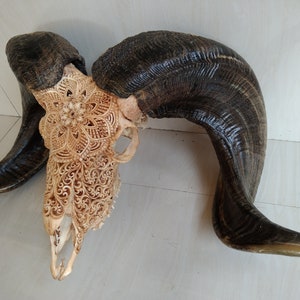 Carve Ram Skull Carving Mandala - Etsy