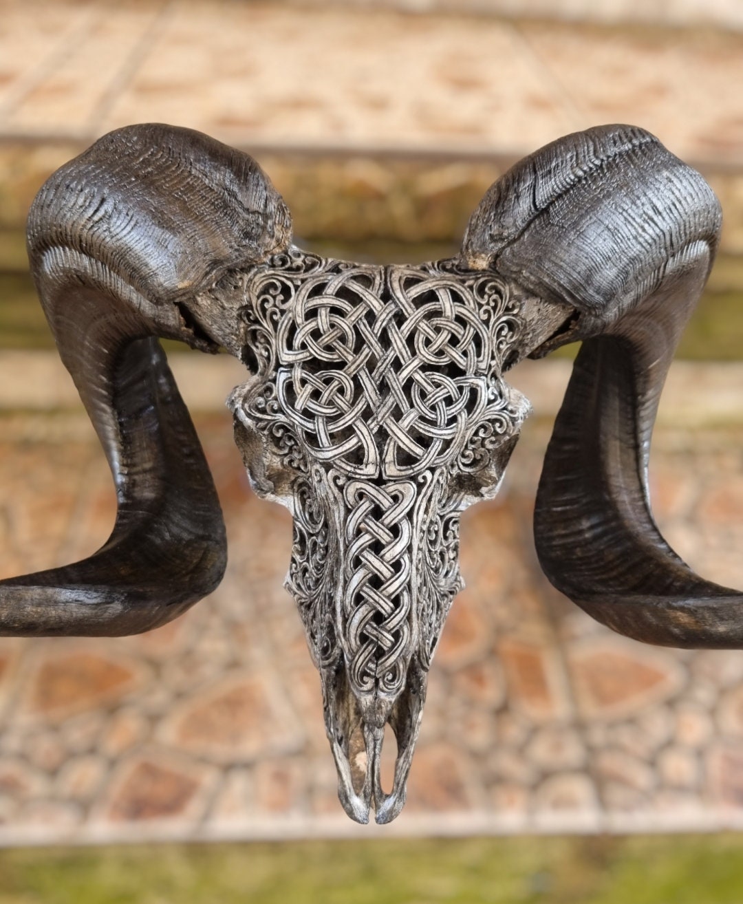 Carve Ram Skull Carving Celtic Grey HUGE - Etsy
