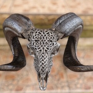 Carve Ram Skull Carving Celtic Grey HUGE - Etsy