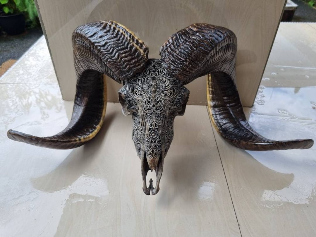 Carve Ram Skull Carving Flower Grey - Etsy